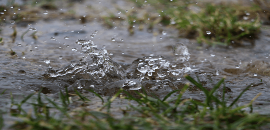 How To Manage Soil Moisture - Chorbie